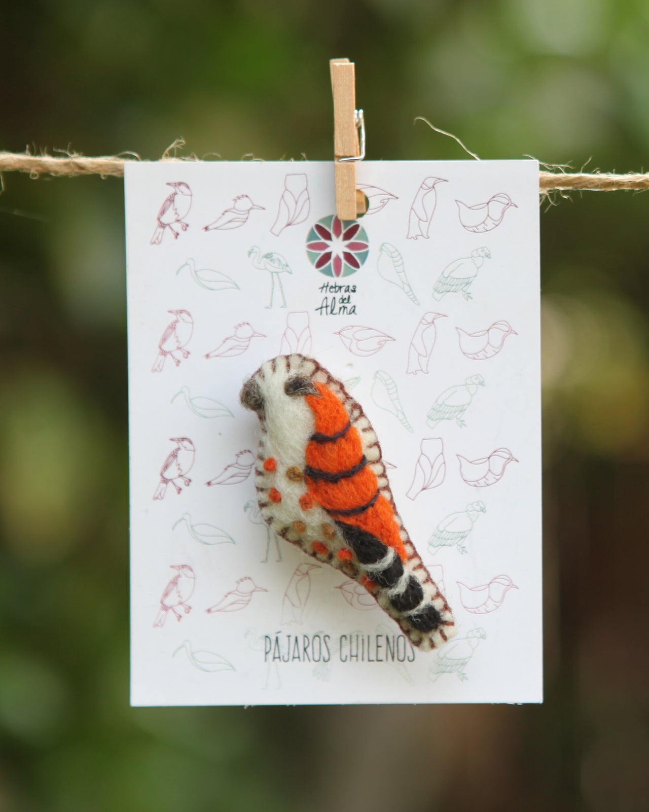 Pajarito Pin Cernicalo blanco – Creado en Chile