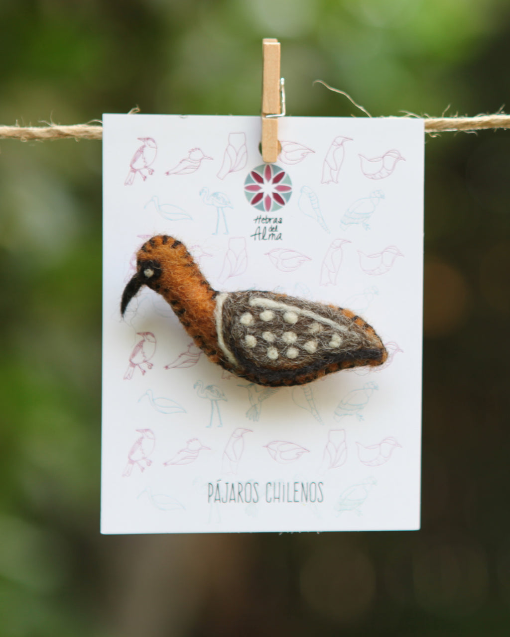 Pajarito Pin Bandurria Café – Creado en Chile