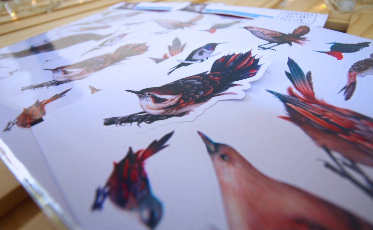 Set de Stickers Troquelados (4 láminas) – Creado en Chile