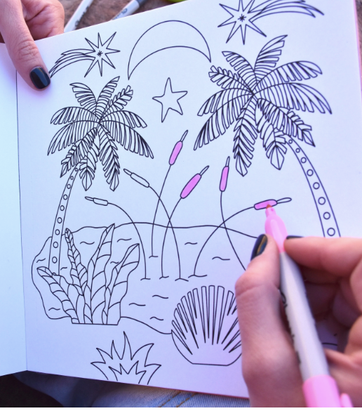 LIBRO EXPLORA – Creado en Chile