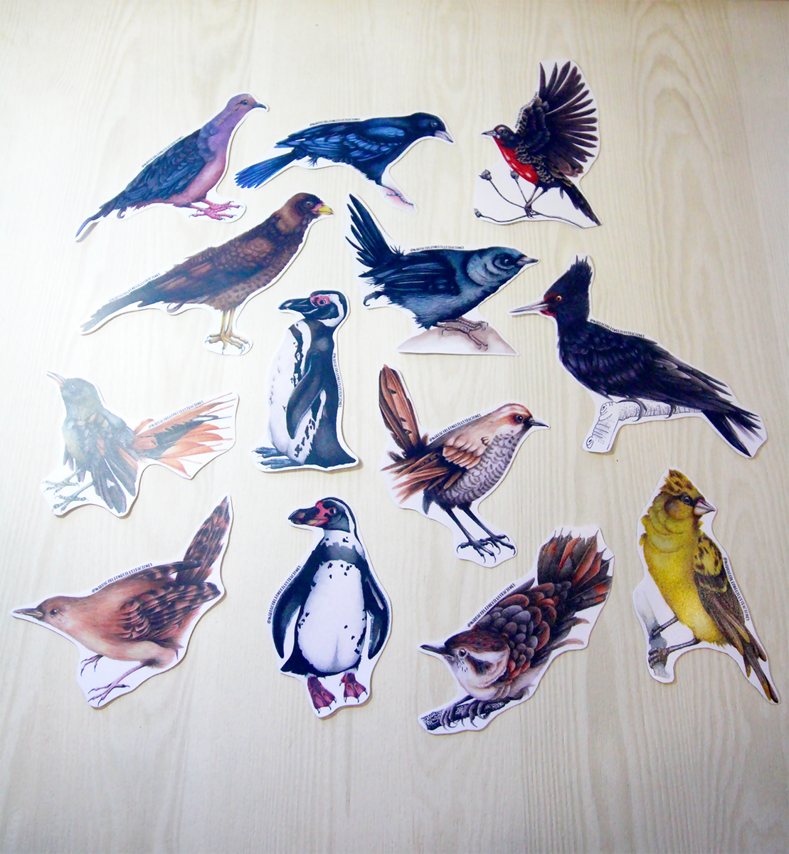 Set de Stickers Grandes Laminados en Frio – Creado en Chile