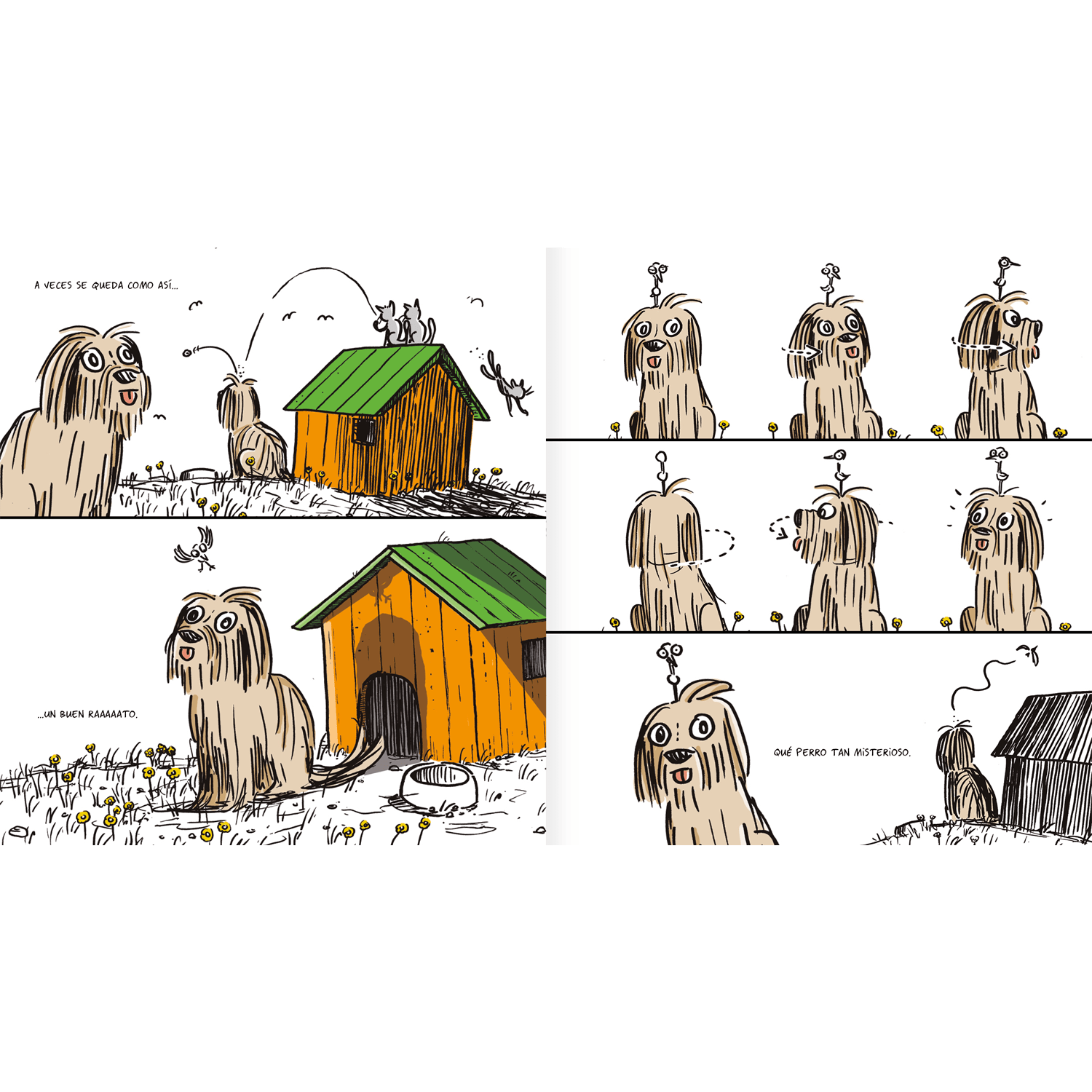 Simplemente Burrus – Creado en Chile